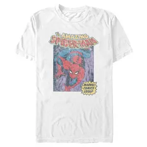 MARVEL: SPIDER-MAN Distressed Amazing Spider Short Sleeve Graphic T-shirt White