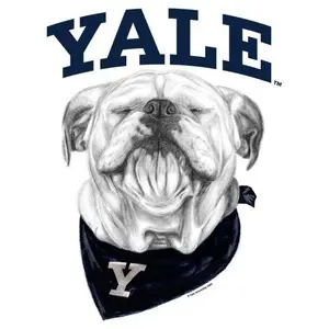 YALE UNIVERSITY Happy Handsome Dan Short Sleeve Graphic T-shirt
