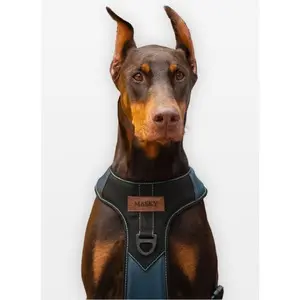 MASKY Bold Control Leather Harness - Blue