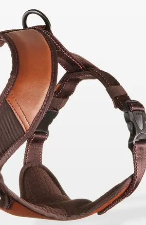 MASKY Bold Control Leather Dog Harness - Cooper