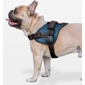 MASKY Signature Leather Dog Harness - Blue