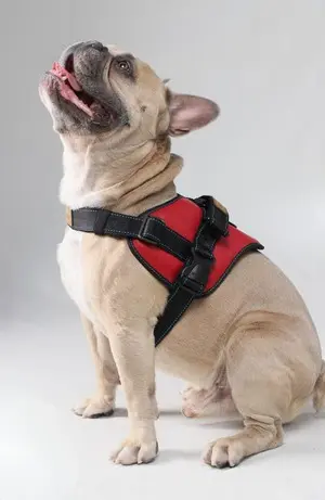 MASKY Signature Leather Dog Harness - Red