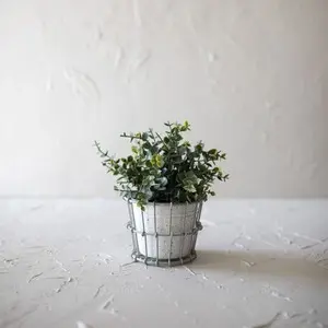 FORESIDE HOME AND GARDEN Mini 2-piece Planter Metal