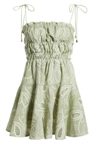 Moon River Embroidered Shirred Fit & Flare Mini Dress