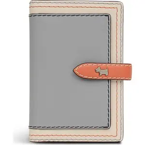 RADLEY Willis Streetcolourblock Passport Cover
