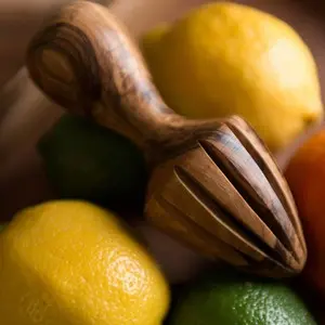 BE HOME Wood Citrus Press