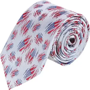 Trafalgar Stars & Stripes Secret Silk Novelty Necktie - Silver