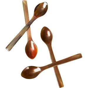 BE HOME Horn Spoonsset Of 4 - Brown