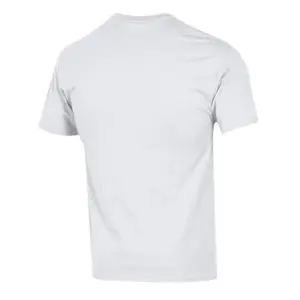 Champion Miami Dolphins Arch Over Logo T-shirt