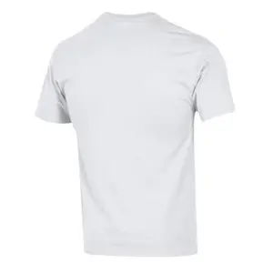 Champion Miami Dolphins Arch Over Logo T-shirt
