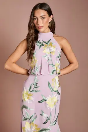 Coast Floral Embroidered High Neck Midi Dress