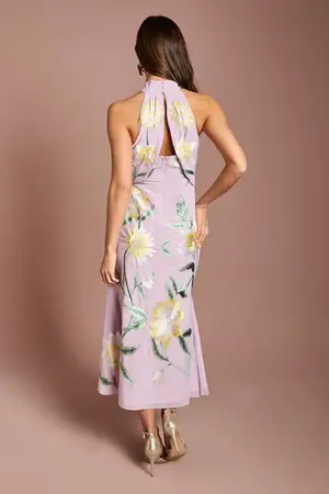 Coast Floral Embroidered High Neck Midi Dress
