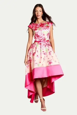Coast Floral Printed Twill Midi Dress - Blush