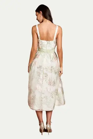 Coast Embroidered Fan Bodice Mesh Midi Dress