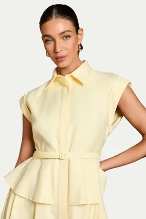 Coast Peplum Detail Belted Shirt Dress