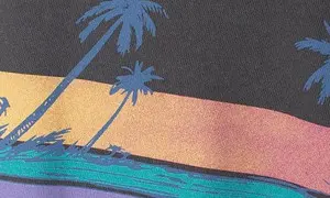 Roxy Heatwave Oversize Cotton Graphic T-shirt