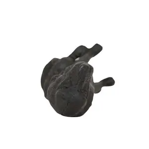 FORESIDE HOME AND GARDEN Sitting Dog Decorative Accent Cast Iron