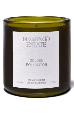 FLAMINGO ESTATE Golden Pollinator Candle - No Color