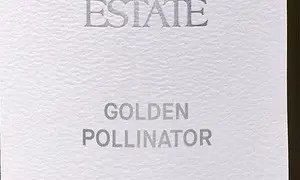 FLAMINGO ESTATE Golden Pollinator Candle