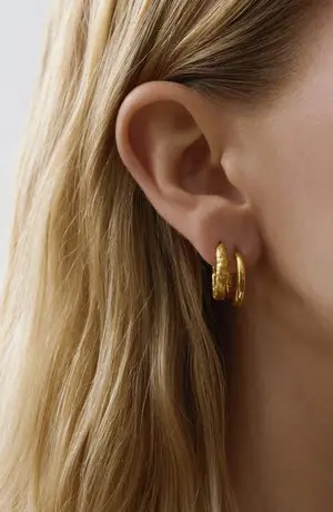 NOOTKA Mid Hoop Earrings In Vermeil