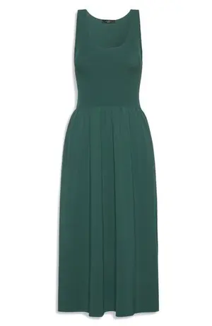 Max Mara Calibri Midi Dress
