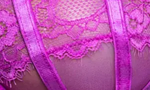ROMA CONFIDENTIAL Sheer Desire Underwire Bra & G-string Set