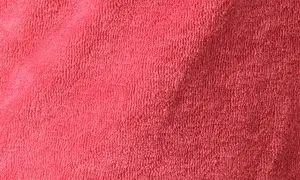 Marine Layer Beach Terry Shorts