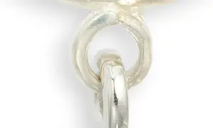 VIDAKUSH Duotone Star Charm Hoop Earrings