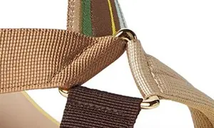 Fendi Colibri Slingback Sandal