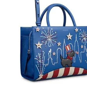 RADLEY Fireworks And Stripes Satchel Bag
