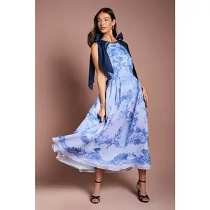 Coast Placement Print Organza Midi Dress - Blue