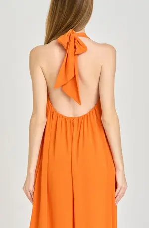 WAYF Solana Halter Maxi Dress