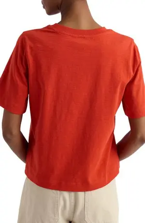 SEASALT CORNWALL Organic Cotton T-shirt