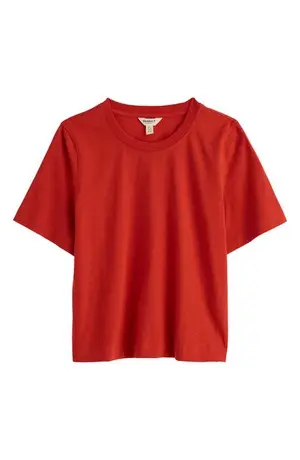 SEASALT CORNWALL Organic Cotton T-shirt