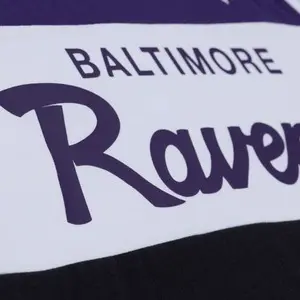 Mitchell & Ness Baltimore Ravens Color Block Tank Top