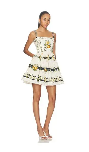 Agua Bendita Lima Mini Valle Dress In Multi