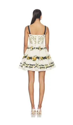 Agua Bendita Lima Mini Valle Dress In Multi