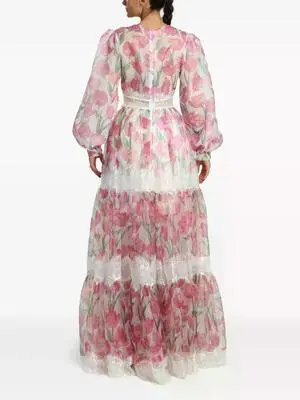MIAU BY CLARA ROTESCU Eze Floral-print Lace-trim Gown