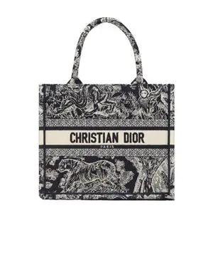 Dior Small Book Tote - Blue