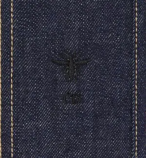 Dior Oversized Hooded Jacket With Bee And Cd Logo Embroidery