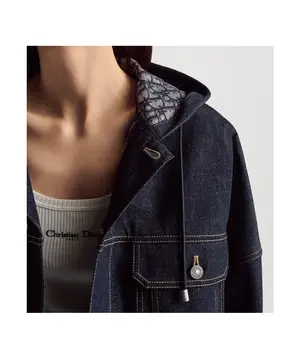 Dior Oversized Hooded Jacket With Bee And Cd Logo Embroidery