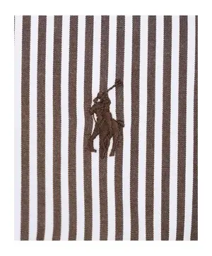 Polo Ralph Lauren Striped Shirt