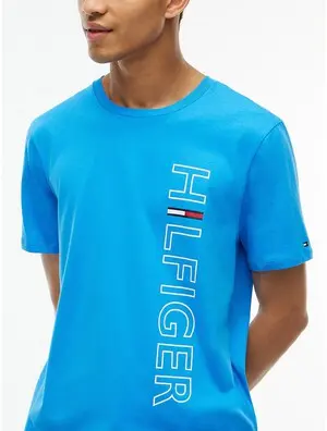Tommy Hilfiger Vertical Hilfiger Logo T-shirt