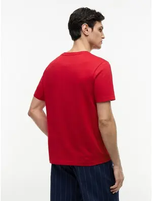Tommy Hilfiger Tommy Script Flag Logo T-shirt