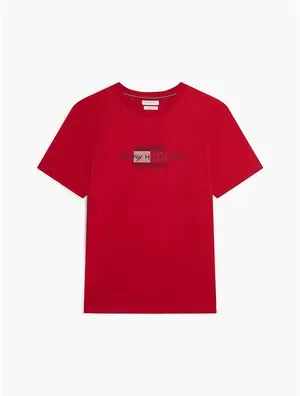 Tommy Hilfiger Tommy Script Flag Logo T-shirt