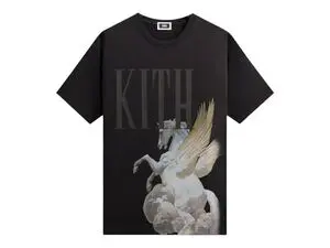 Kith Pegasus Vintage Tee Shirt - Black