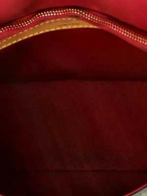 LOUIS VUITTON Monogram Canvas Diane Nm Handbag - Brown