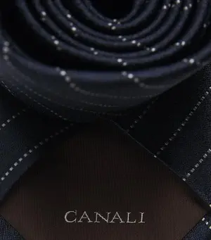 Canali Silk Stripe Neck Tie