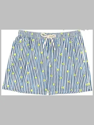 MC2 SAINT BARTH Striped Swim Shorts With Graphic Print