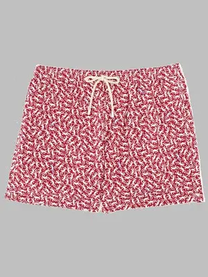 MC2 SAINT BARTH Printed Swim Shorts - Multicolour